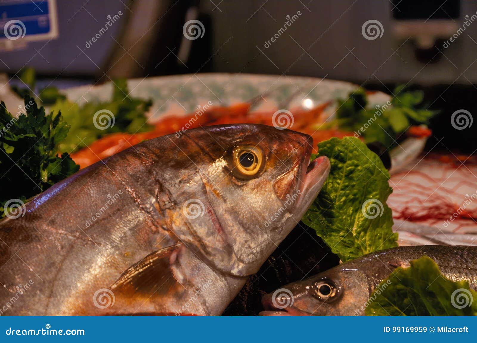 Fish Monger Stock Images - Download 309 Royalty Free Photos - Page 2