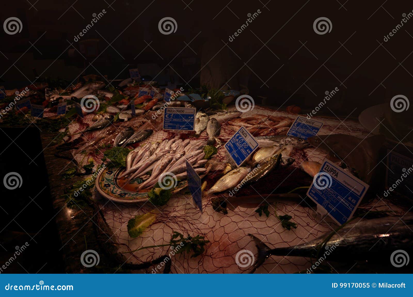 Variety of Fresh Fish Seafood Stock Image - Image of array, monger ...