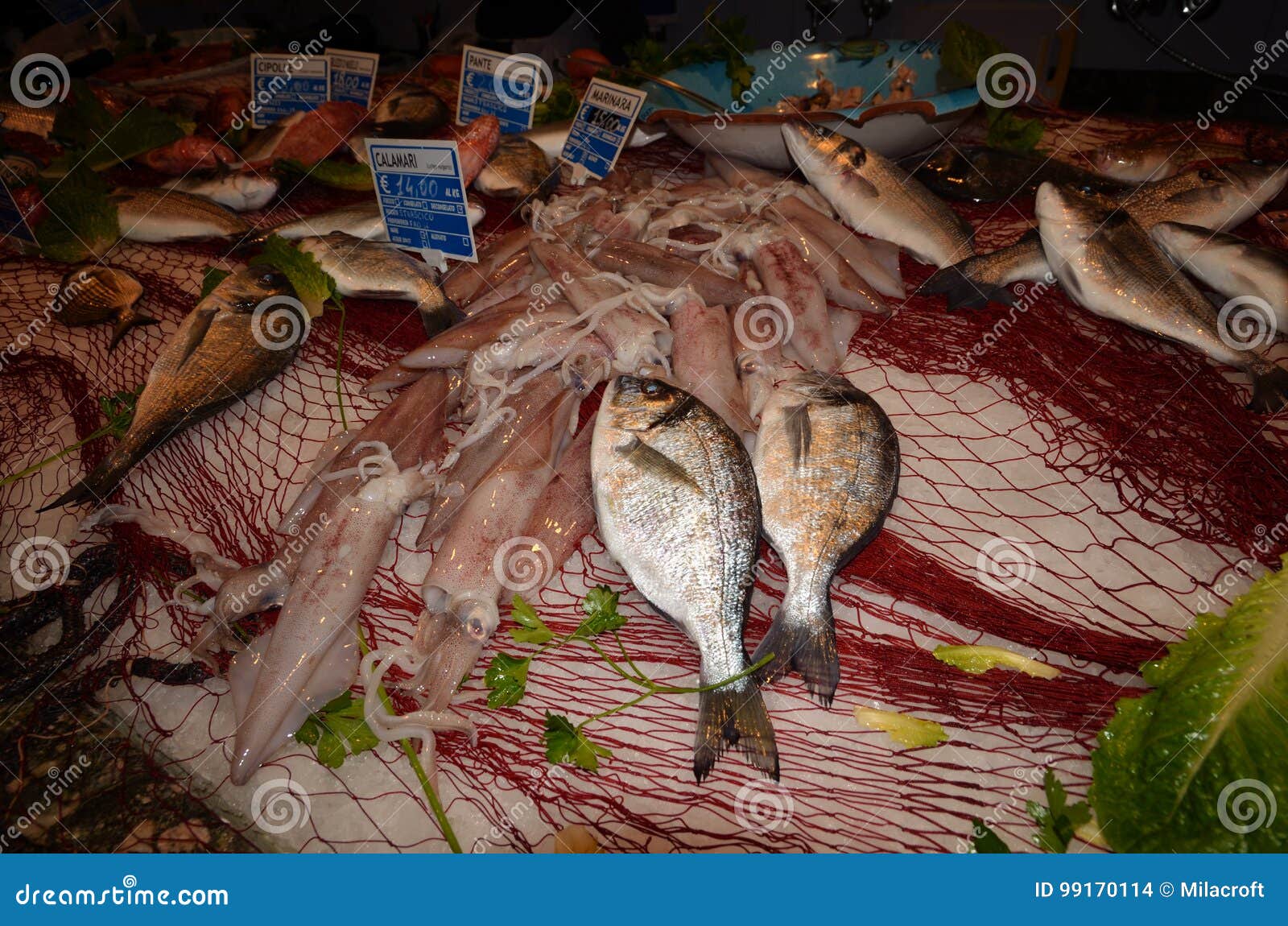 Variety of Fresh Fish Seafood Stock Photo - Image of gourmet, healthful ...