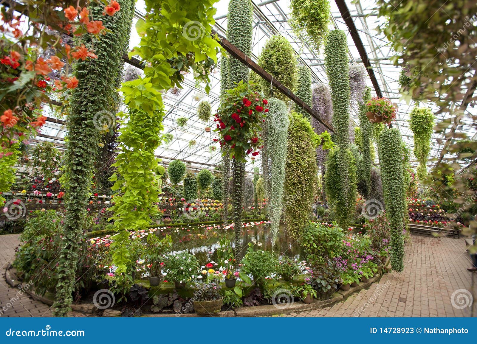 An Array of Hanging Potted Flowering Plants. Stock Image - Image of ...