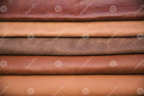 Array of Leather Fabric Samples in Different Shades Neatly Placed on a ...