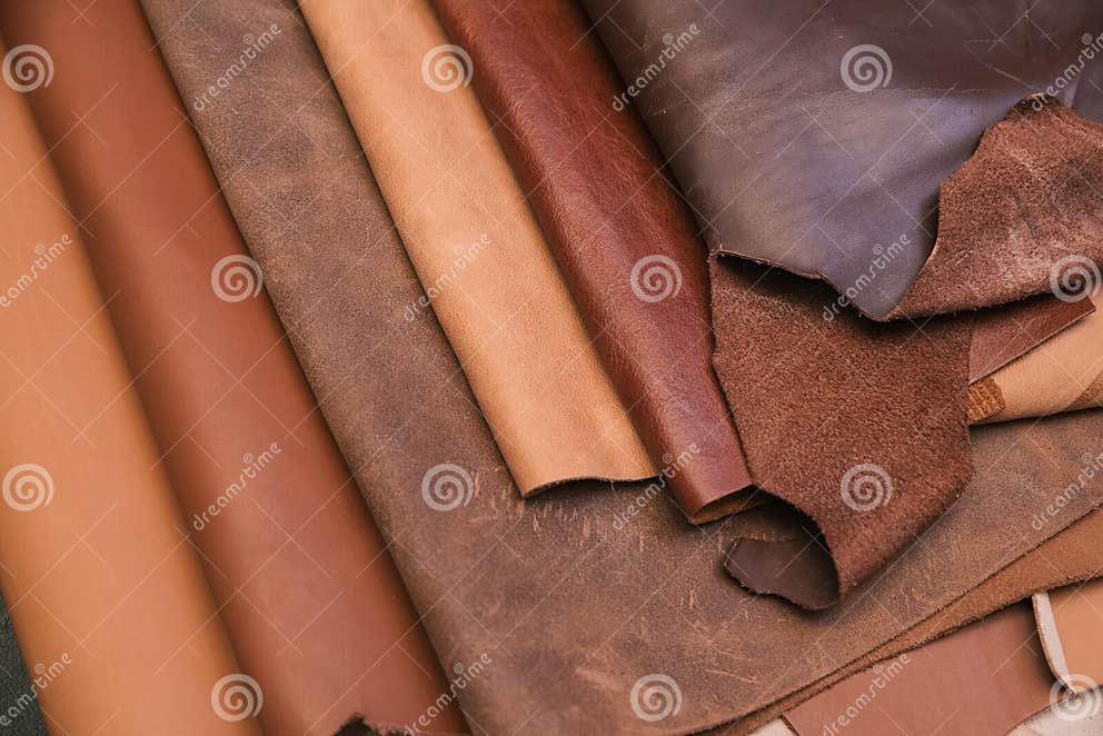 Array of Leather Fabric Samples in Different Shades Neatly Placed on a ...