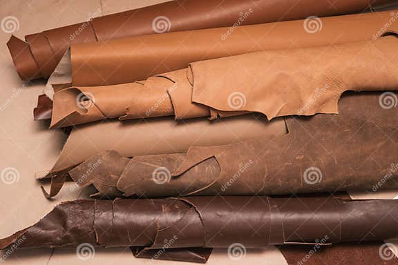 Array of Leather Fabric Samples in Different Shades Neatly Placed on a ...