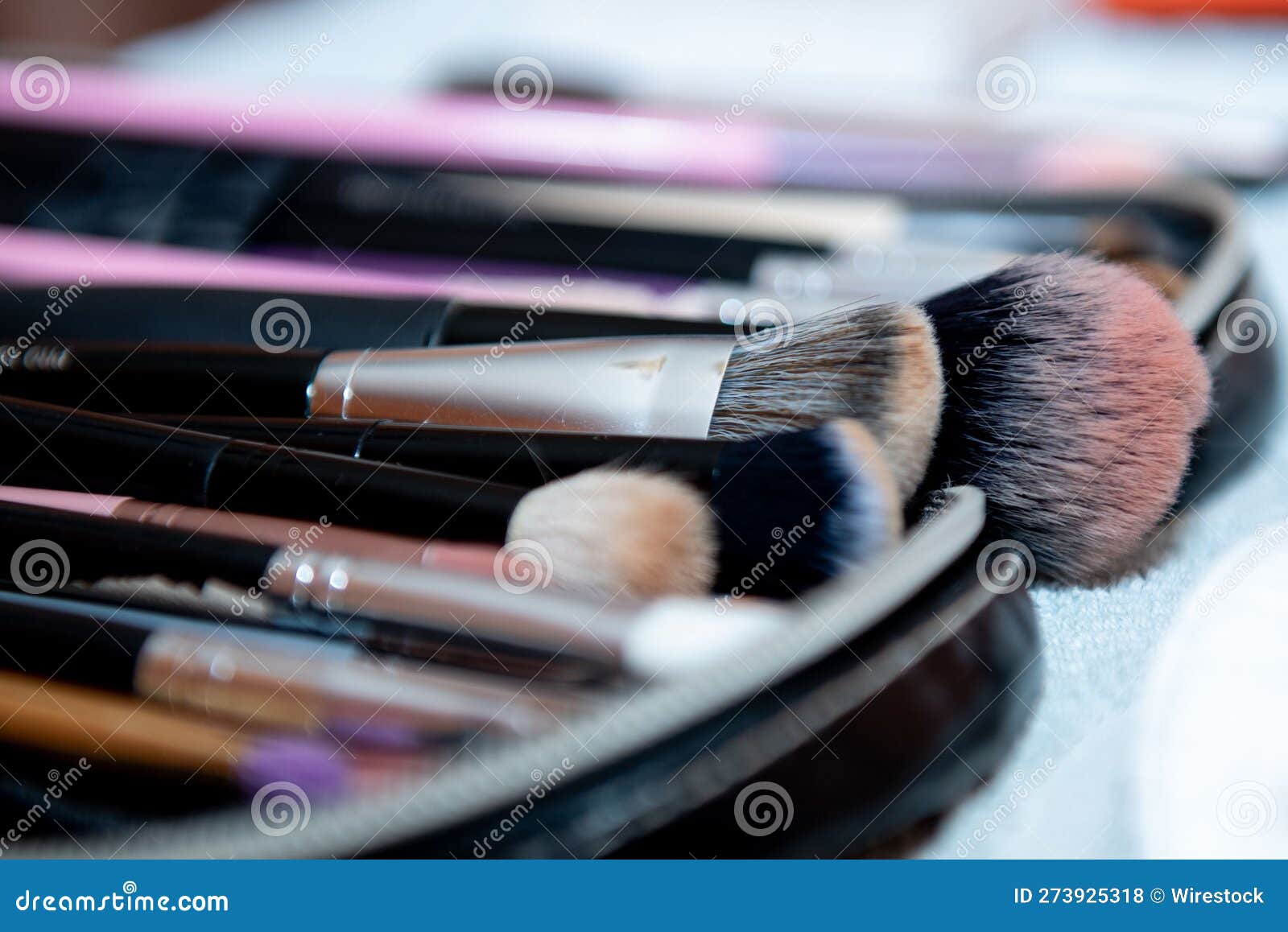 Array of Makeup Brushes in a Variety of Styles and Shapes on a Flat ...