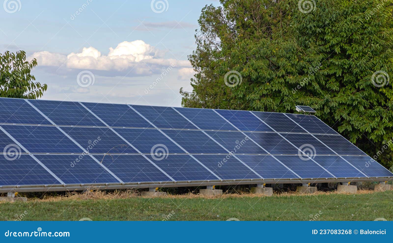 Multiple Solar Panels stock photo. Image of grass, structure - 237083268
