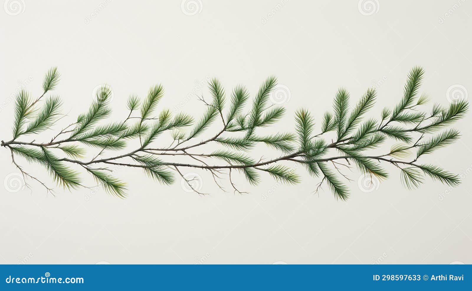 The Array of Needles on a Spruce Tree Branch Stock Illustration ...