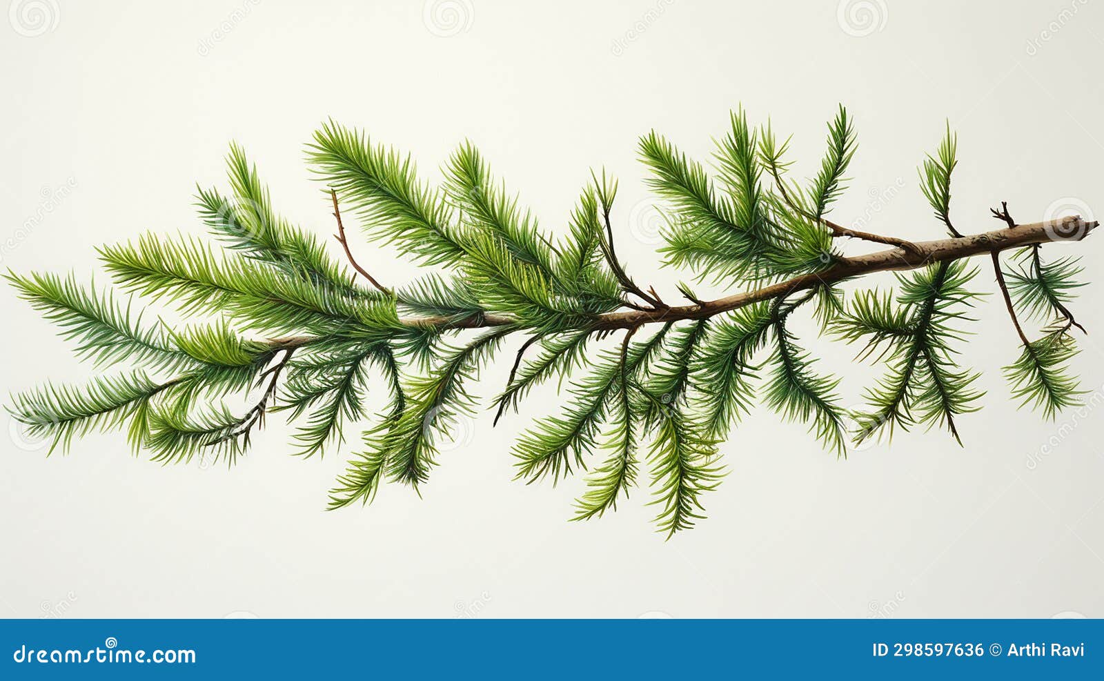 The Array of Needles on a Spruce Tree Branch Stock Illustration ...