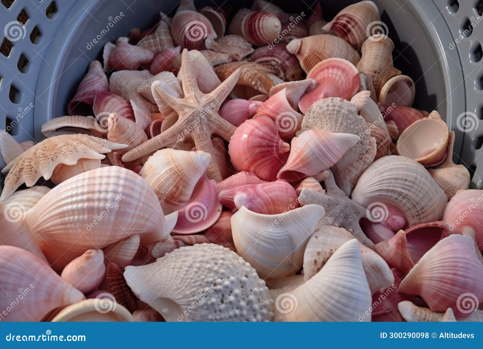An Array of Seashells in a Washing Machine for a Beach Concept Stock ...