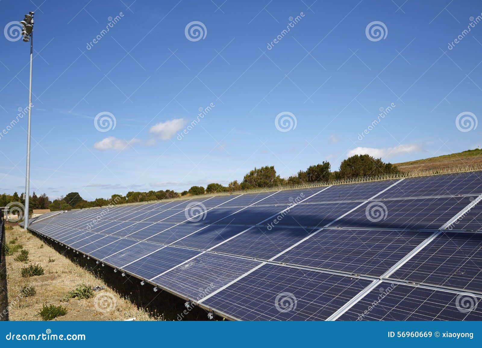 Array of Solar Energy Boards Stock Image - Image of solar, boards: 56960669