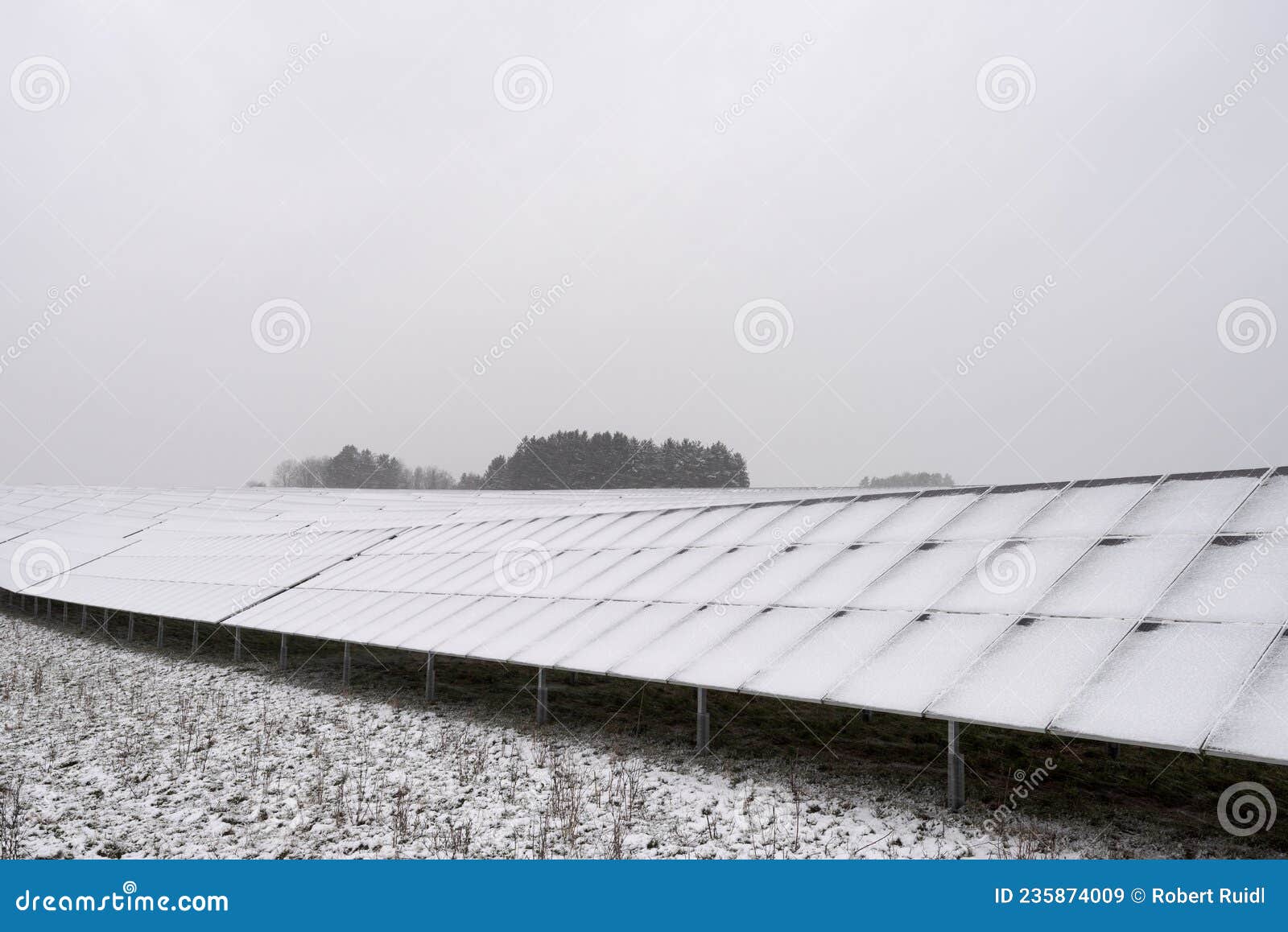Array of Solar Modules in Solar Park on Field Completely Covered with ...