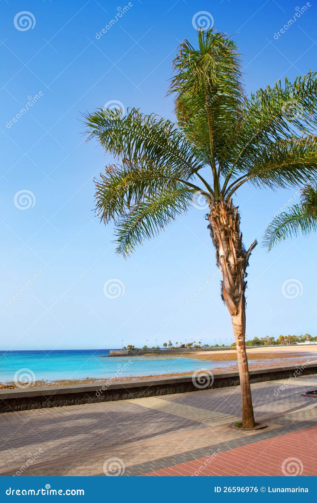 Arrecife Lanzarote Playa Del Reducto Beach Stock Photo - Image of ...
