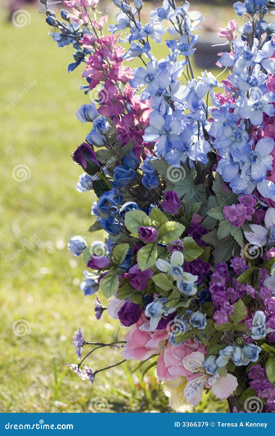 Arreglo del resorte imagen de archivo. Imagen de pronto - 3366379