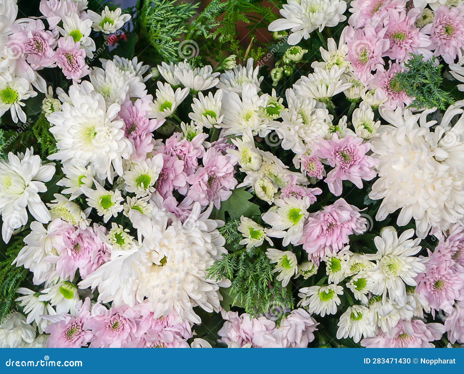 Arreglo Floral Con Crisantemo Foto de archivo - Imagen de decoraciones ...