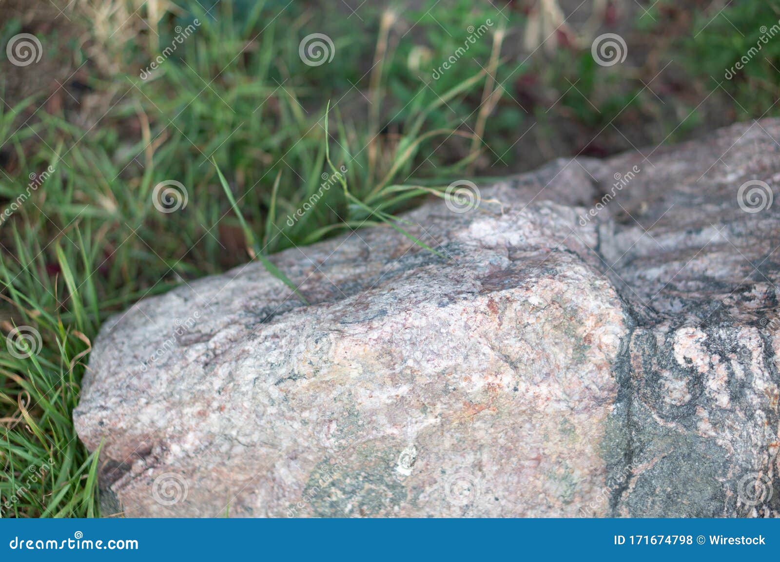 Arremesso De Uma Rocha Cercada De Grama Foto de Stock - Imagem de ...