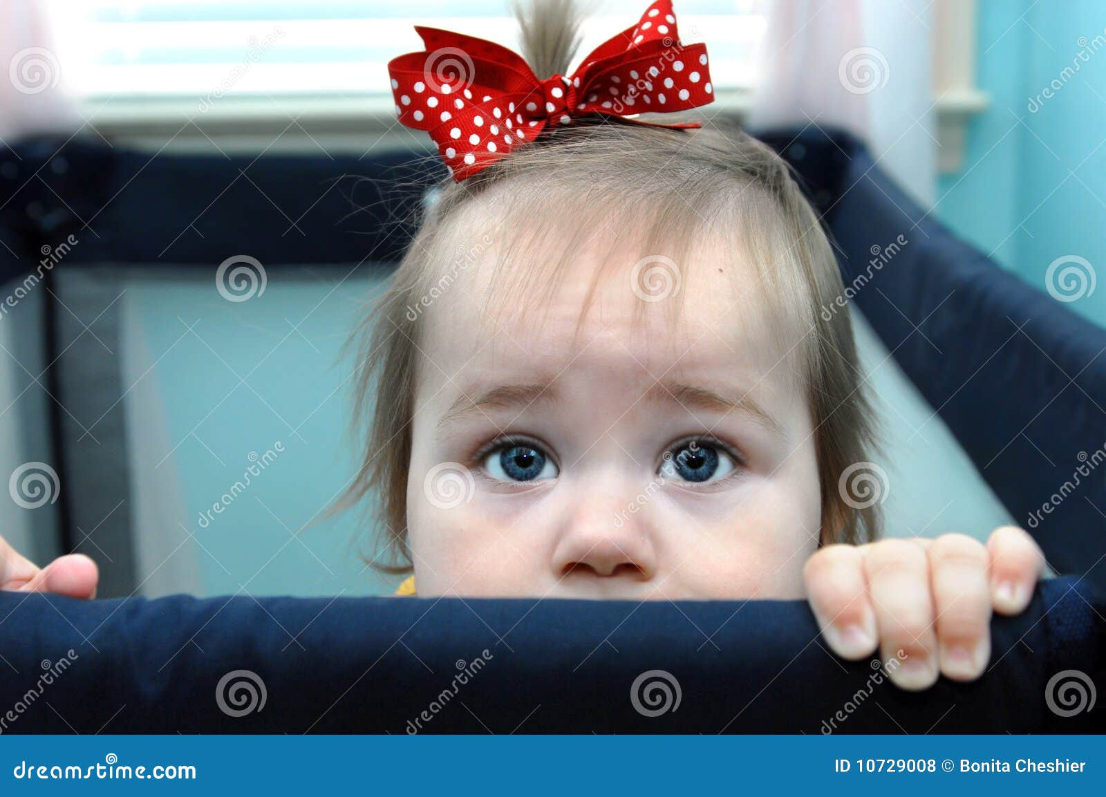 Arresting Eyes stock photo. Image of little, captive - 10729008