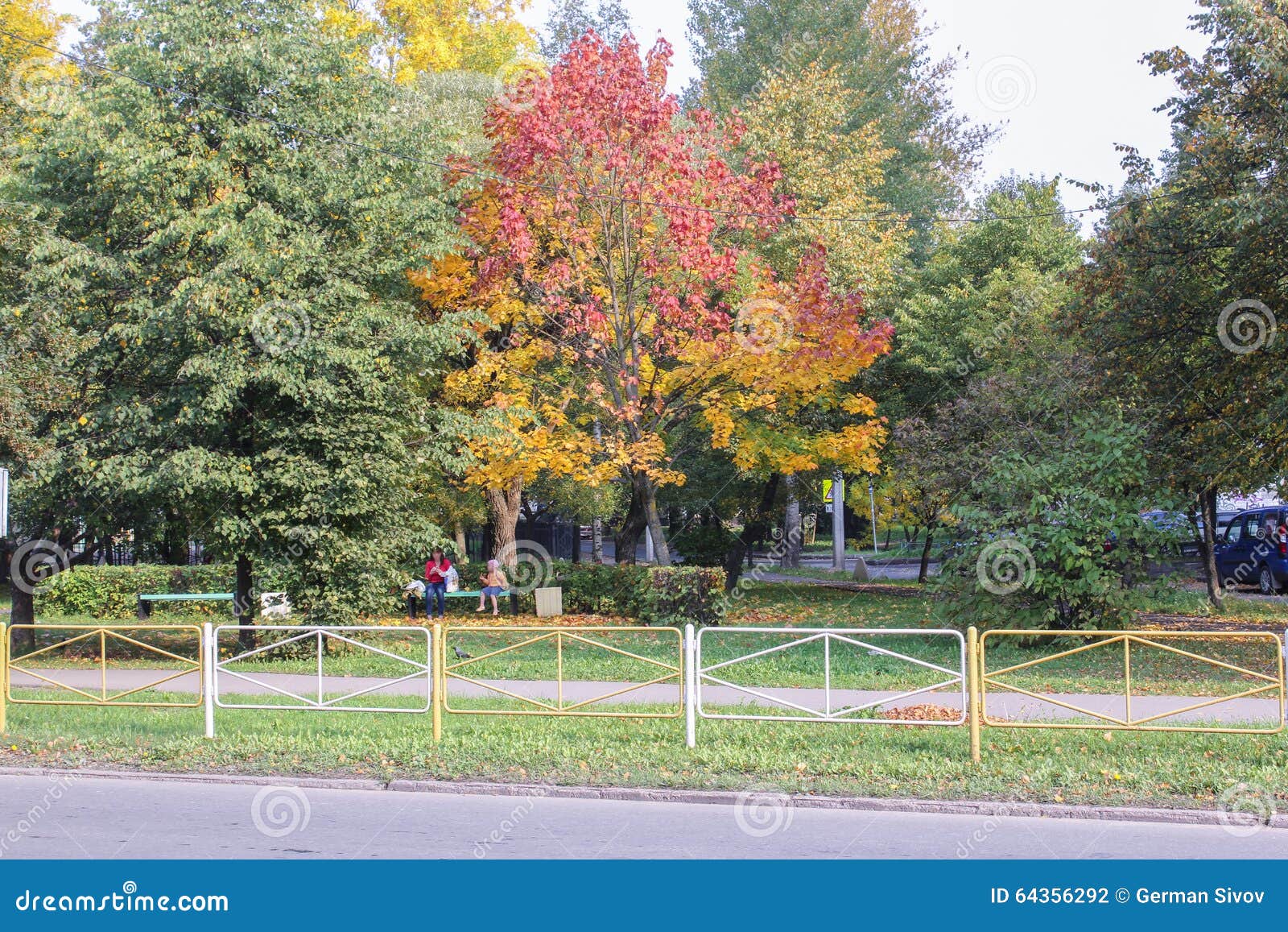 The Arrival of Autumn in the City Stock Photo - Image of tree ...
