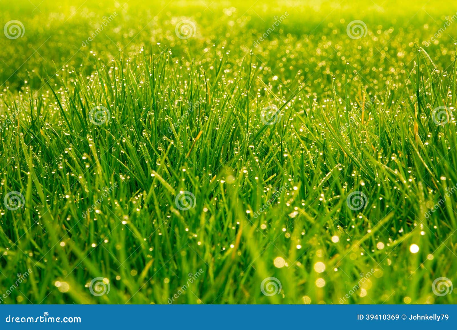 The Arrival of Spring stock image. Image of bokeh, foucs - 39410369