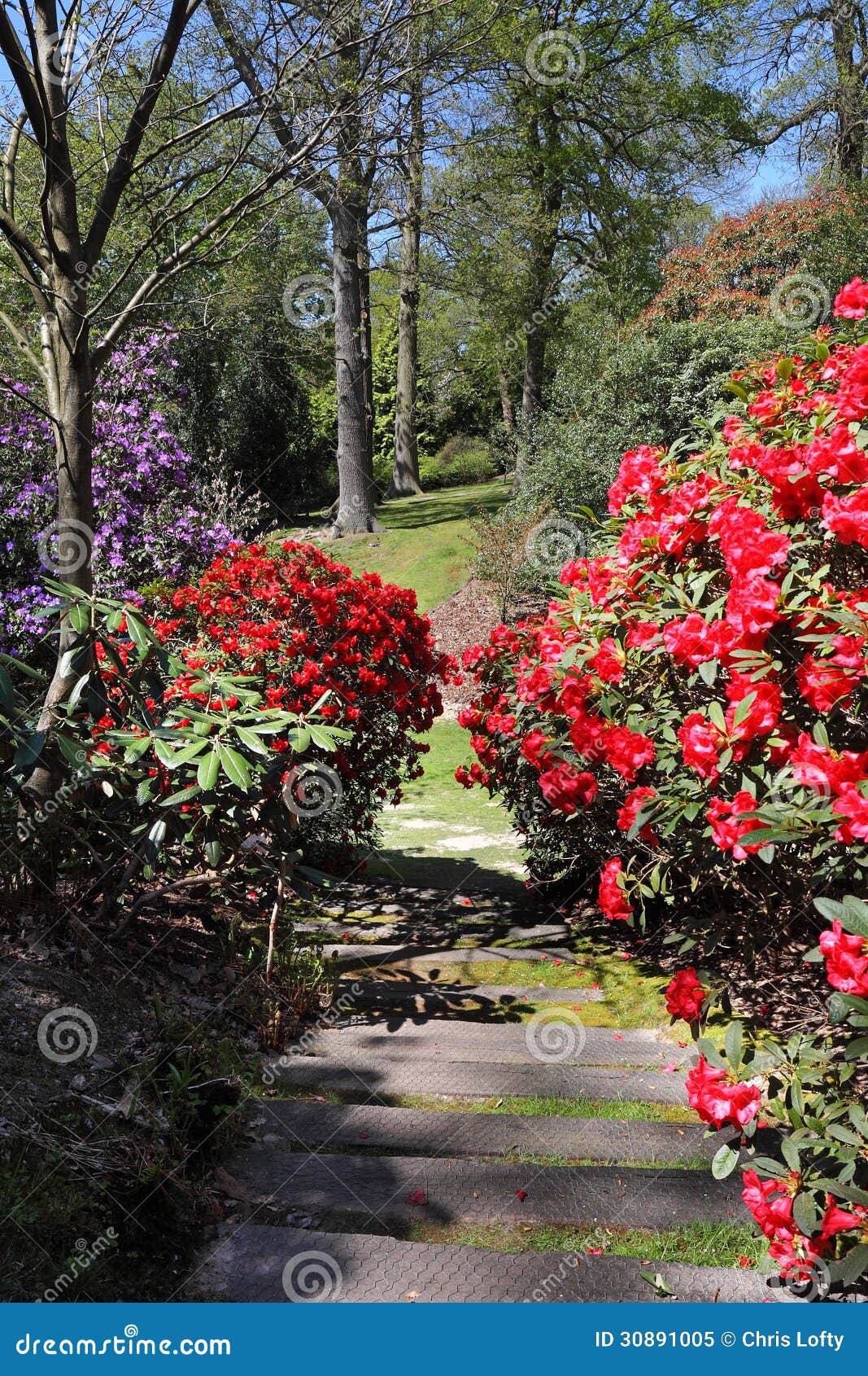 Arrival of Spring in an English Landscape Garden Stock Image - Image of ...