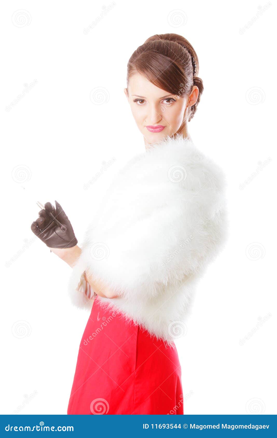 Arrogante dame stock foto. Image of stijlvol, mensen - 11693544