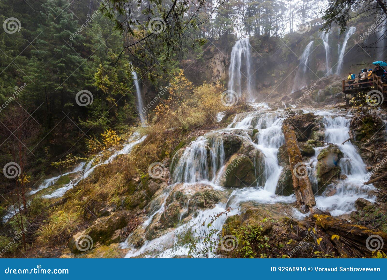 Arrow Bamboo Waterfall stock photo. Image of nature, national - 92968916