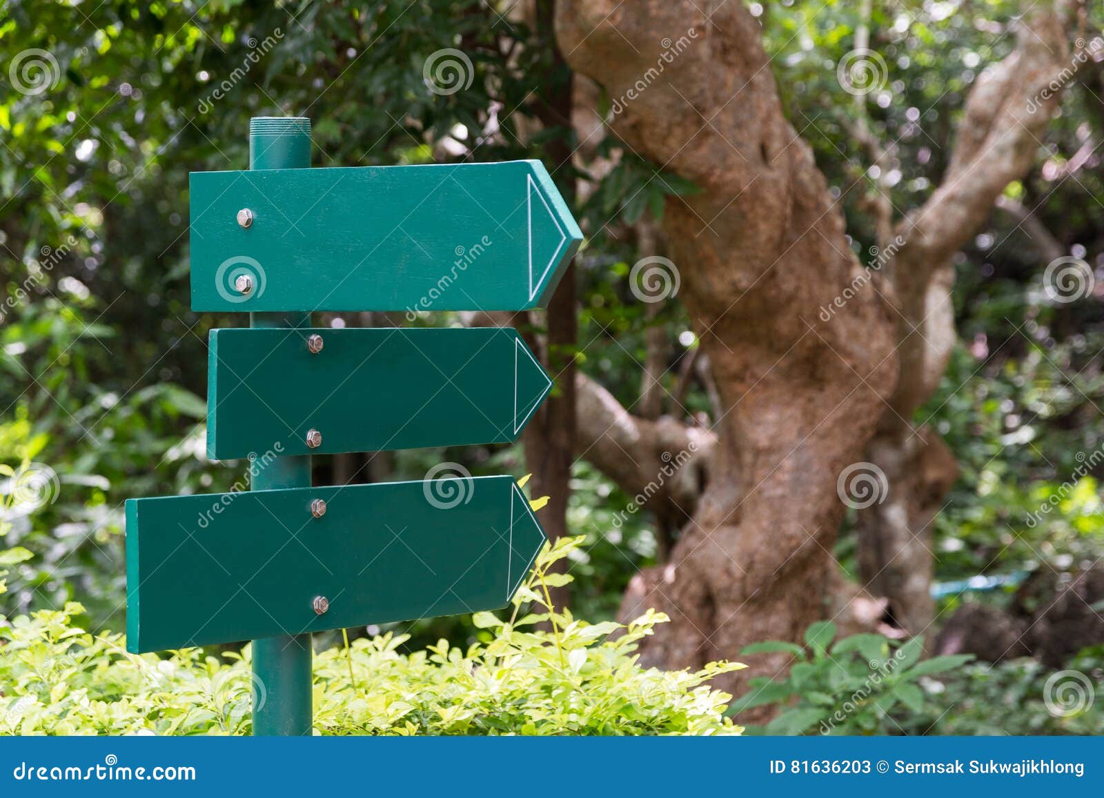 Arrow Direction Green Signpost in Park. Stock Image - Image of green ...
