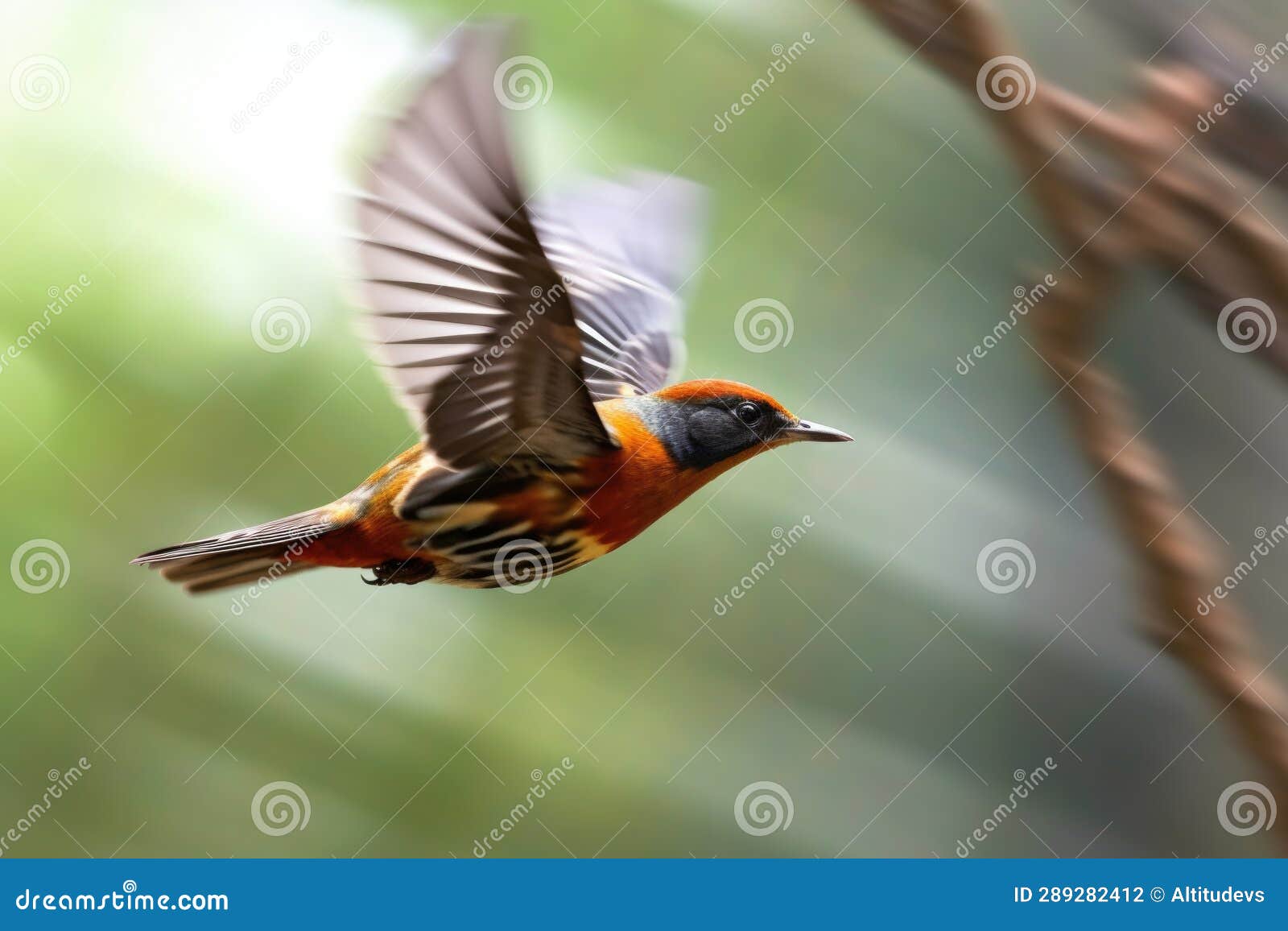 Arrow Flight Captured in High-speed Against a Blurred Background Stock ...
