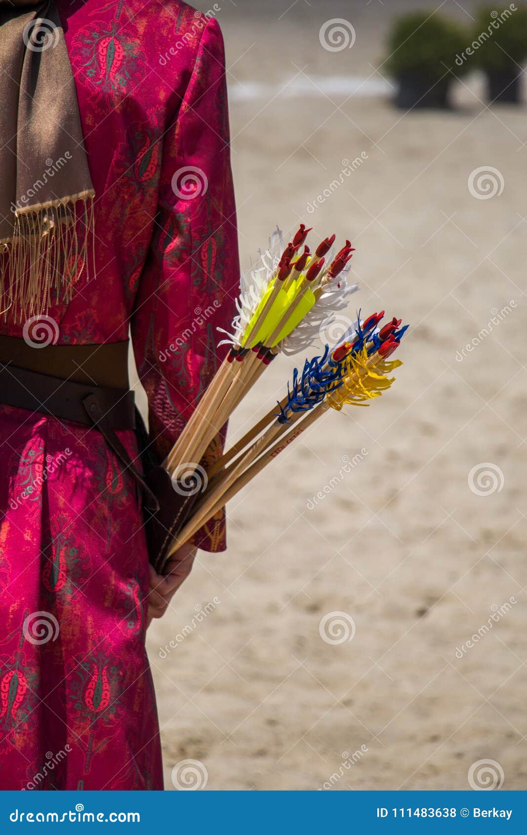 Arrow Projectile Weapon System Archery Stock Photo - Image of aiming ...