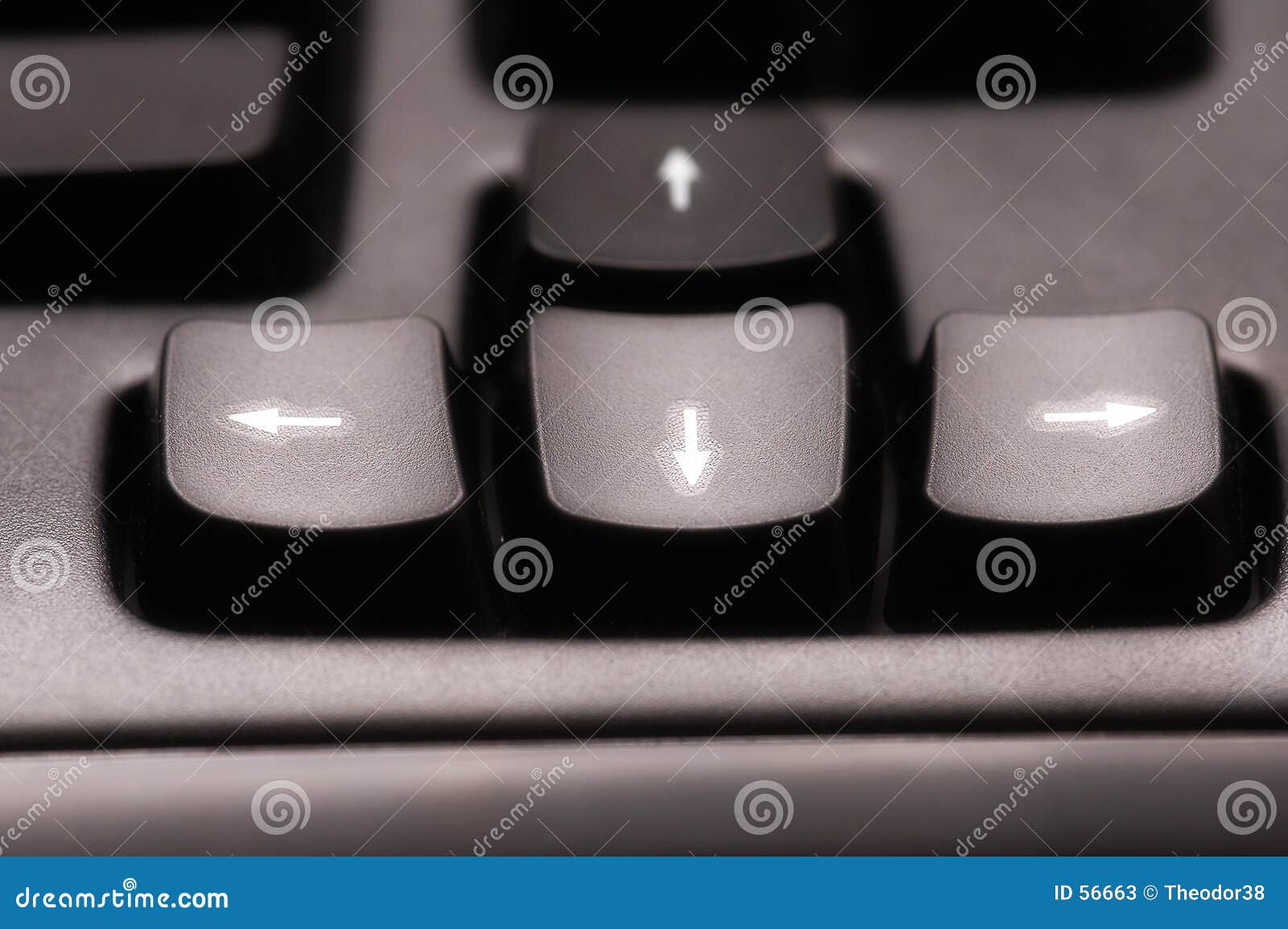 Arrow keys stock image. Image of office, keyboard, hitech - 56663