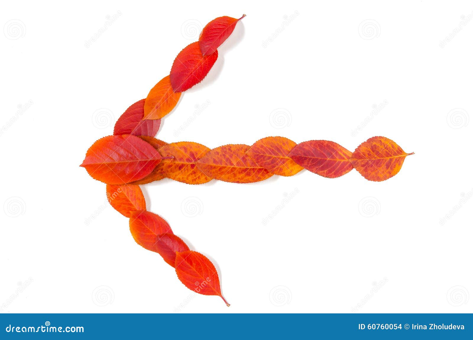 Arrow Made with Autumn Leaves Isolated on White Background Stock Photo ...