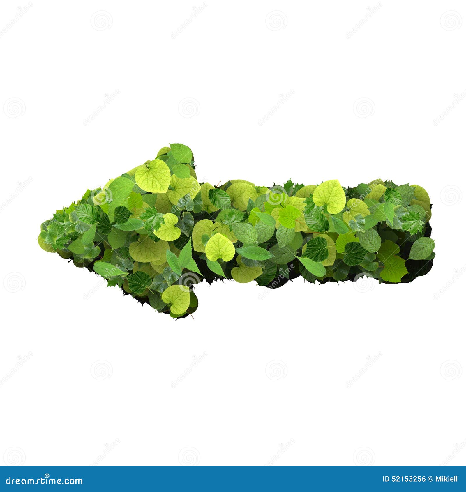 Arrow Made from Green Leaves Isolated on White Background. 3D Render ...