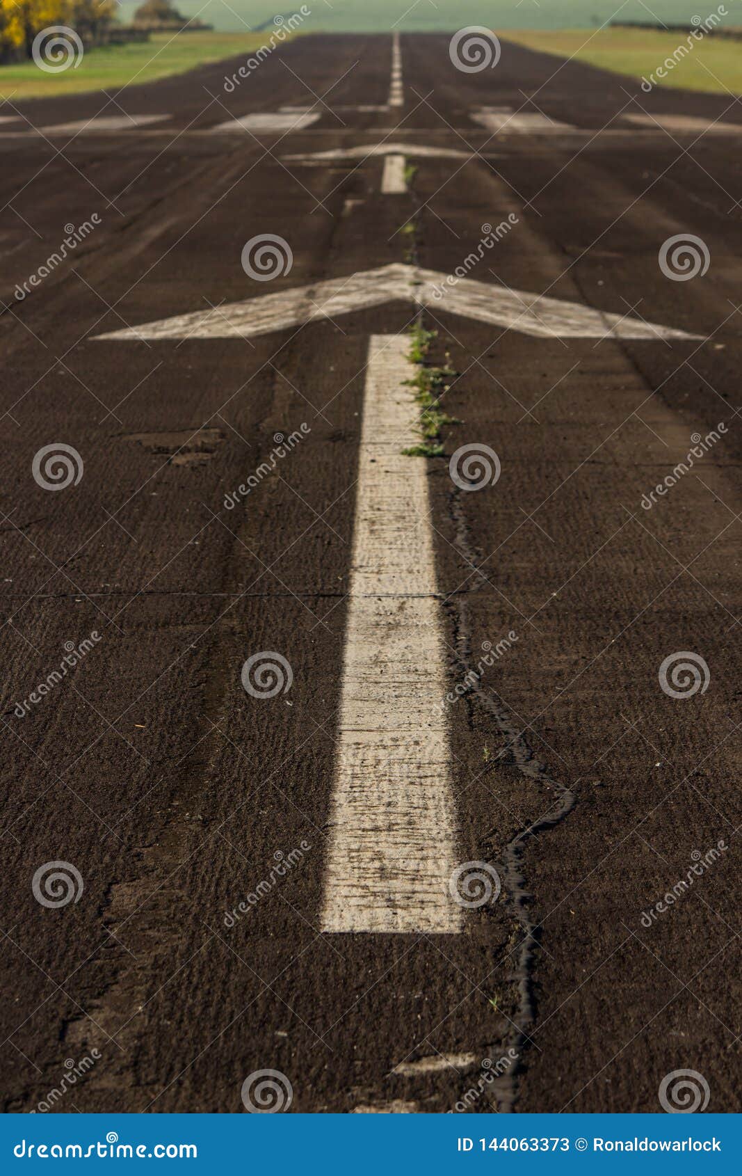 Follow the arrow stock image. Image of grass, wonderful - 144063373