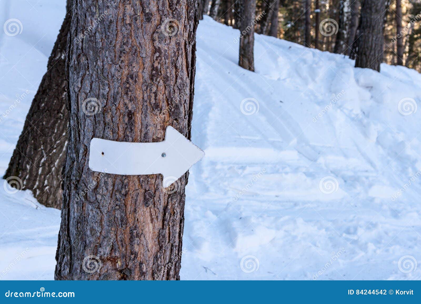 The arrow pointer stock photo. Image of country, directional - 84244542