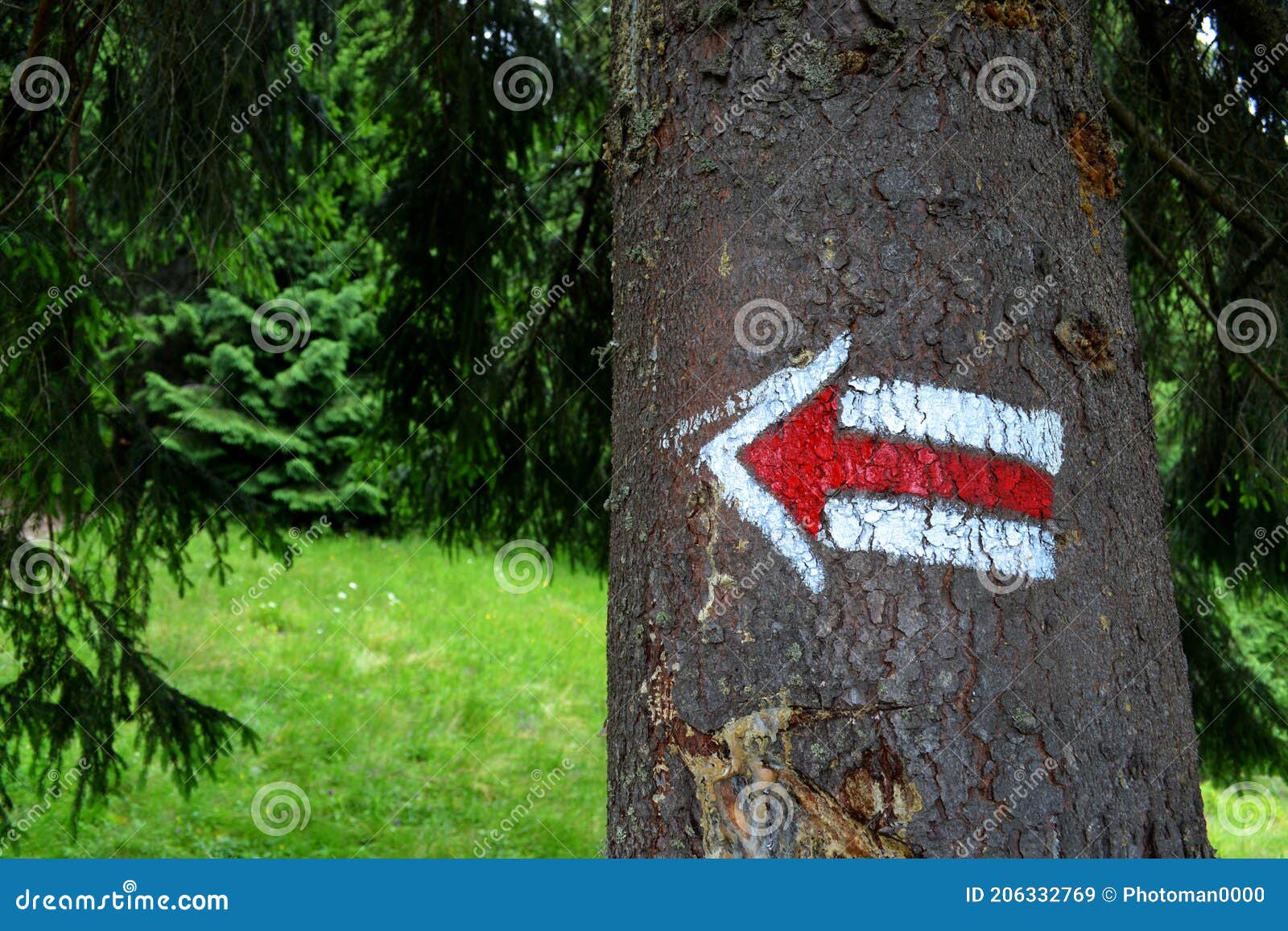 Arrow Pointing To the Left Drawn on a Tree Stock Image - Image of ...
