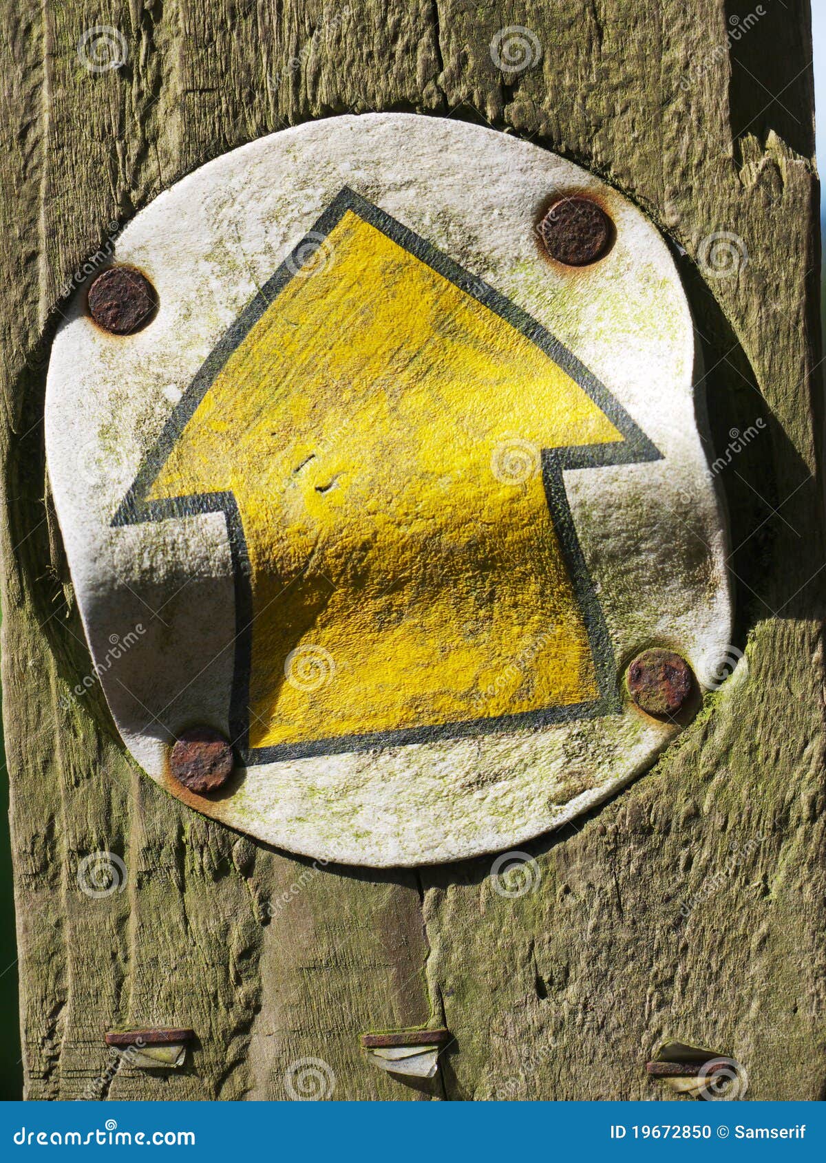 Arrow pointing up stock photo. Image of pointing, point - 19672850