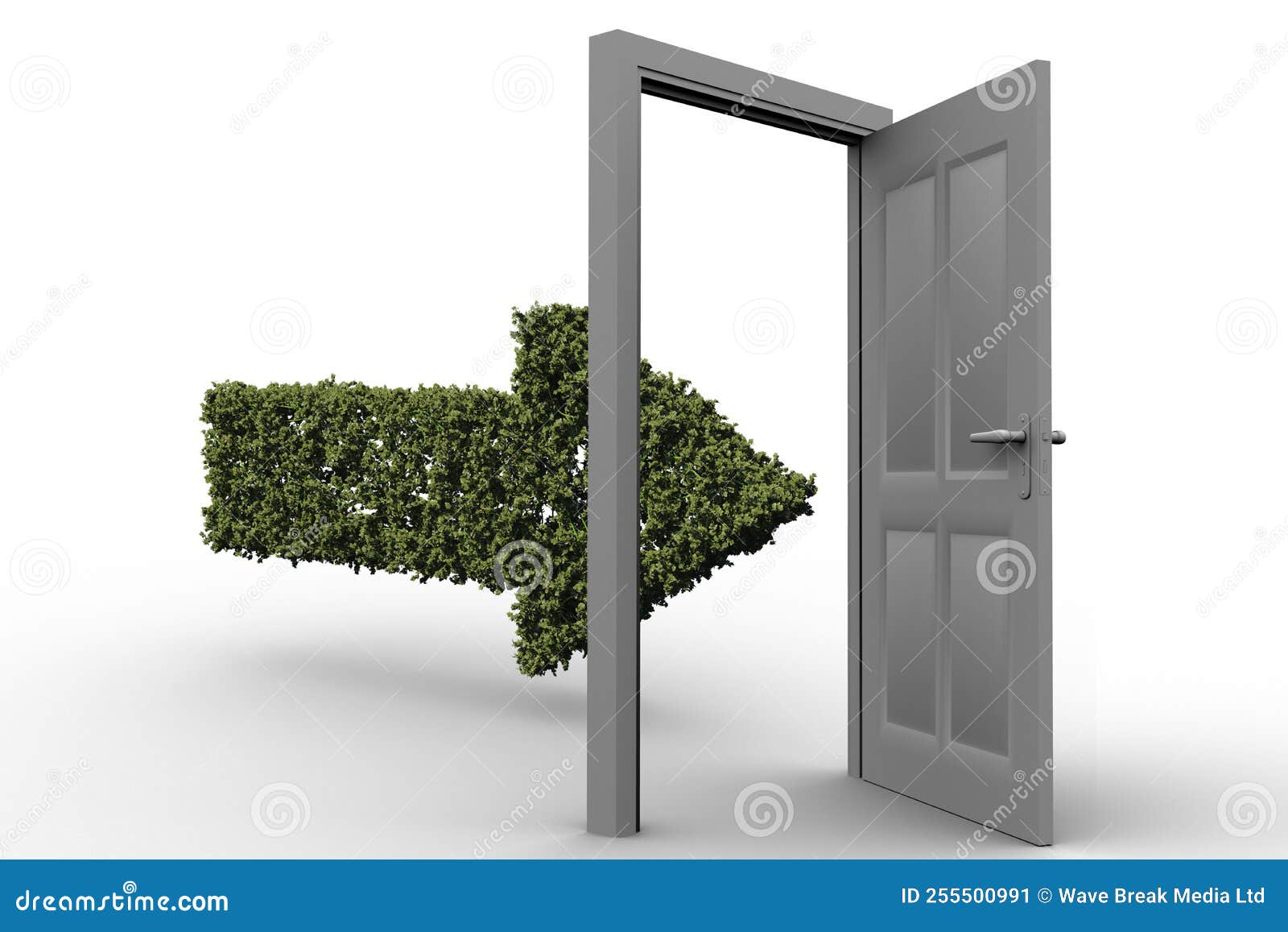 Arrow Shape of Topiary Entering Door Stock Illustration - Illustration ...