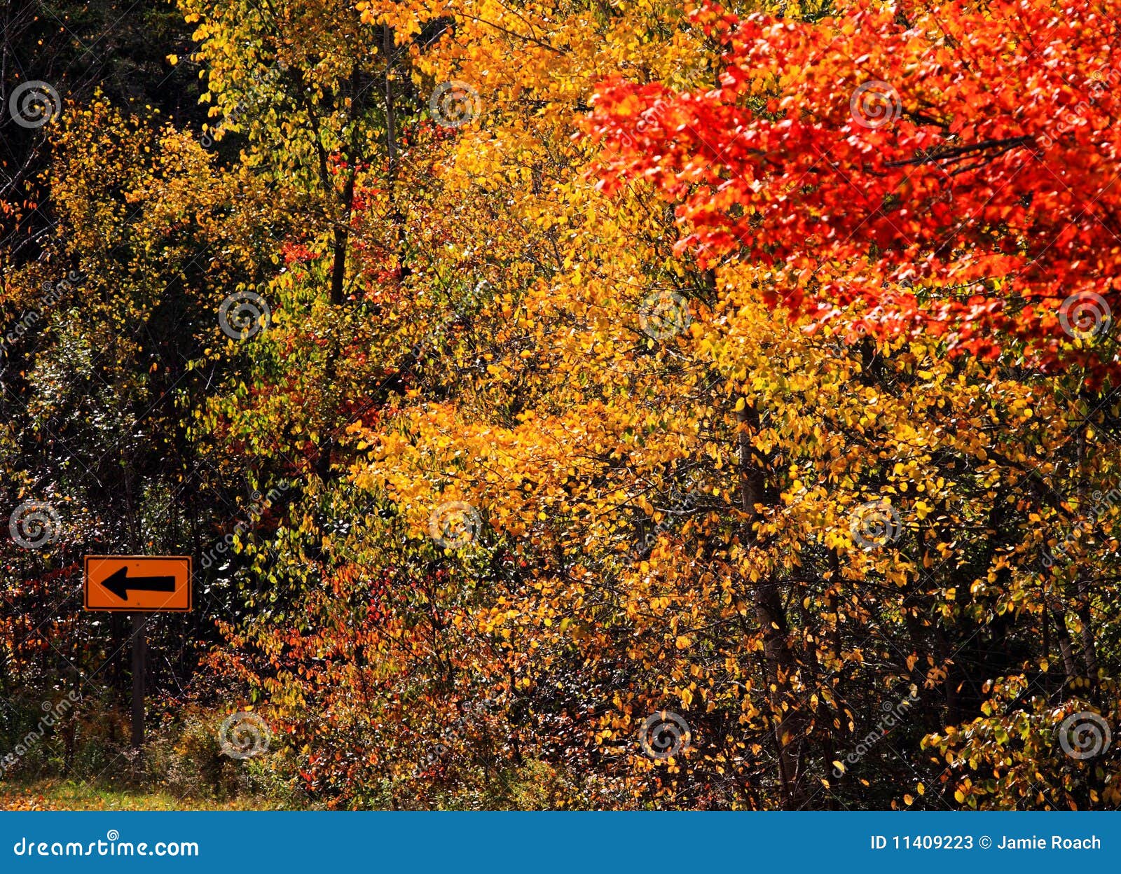Arrow sign autumn road stock image. Image of communication - 11409223