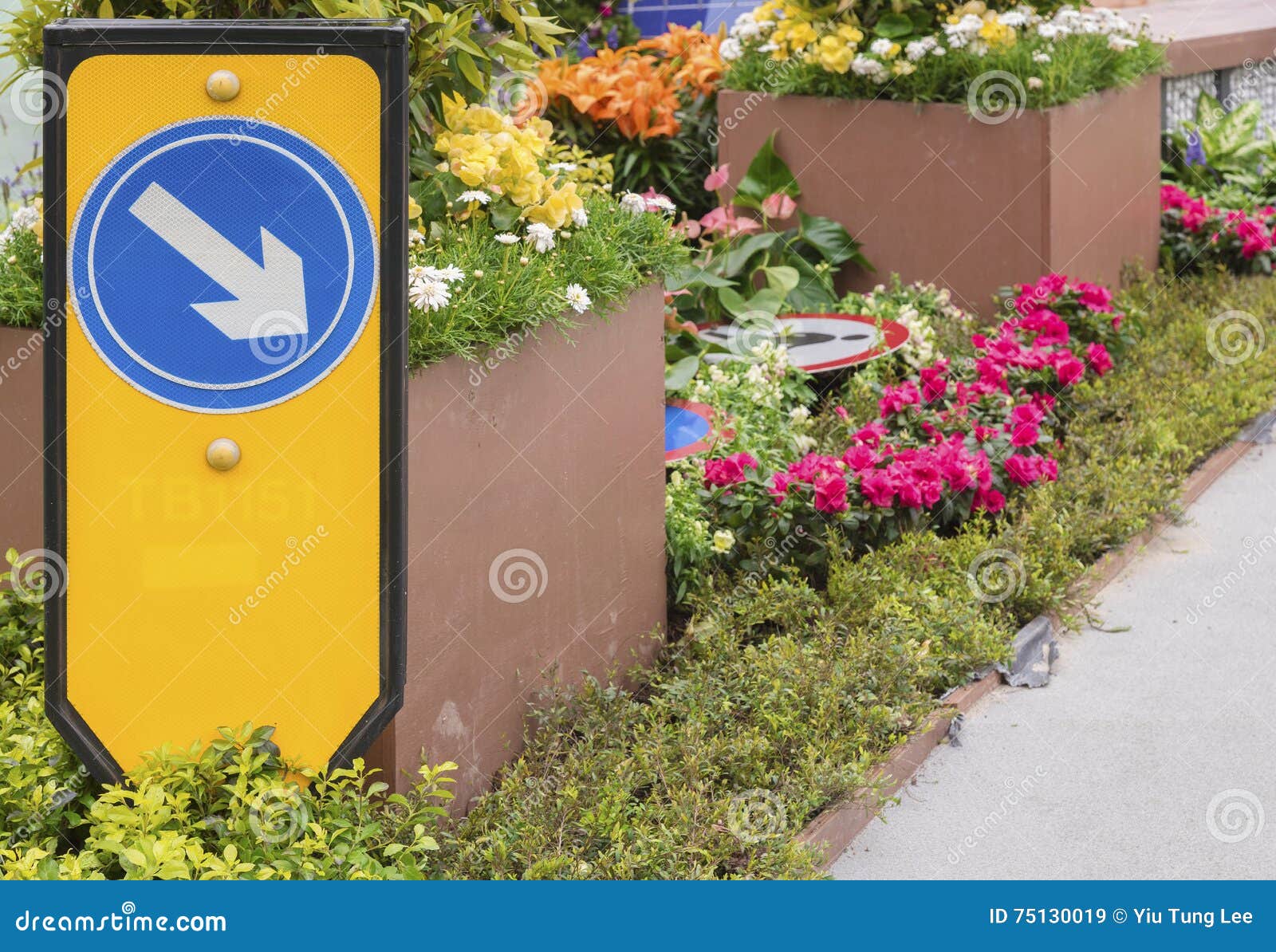 Arrow Sign in Flower Garden Stock Image - Image of direction, path ...