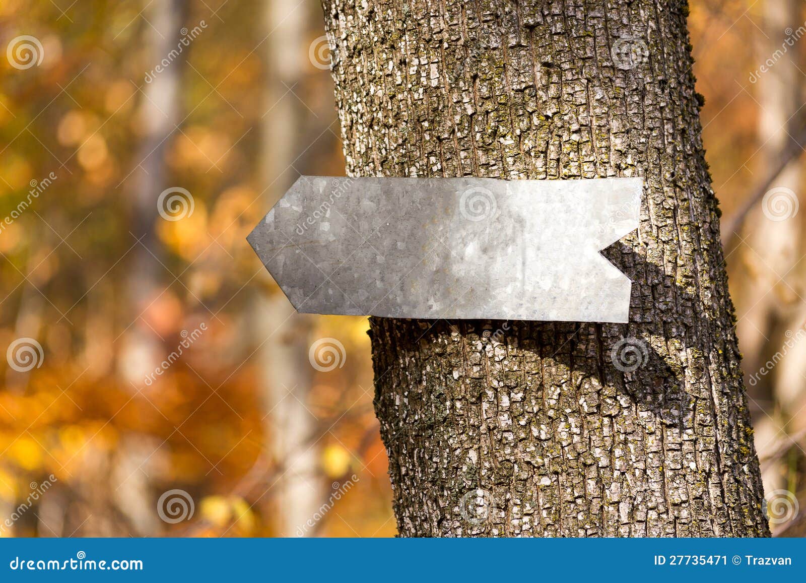 Arrow sign on a tree stock image. Image of direct, pointer - 27735471