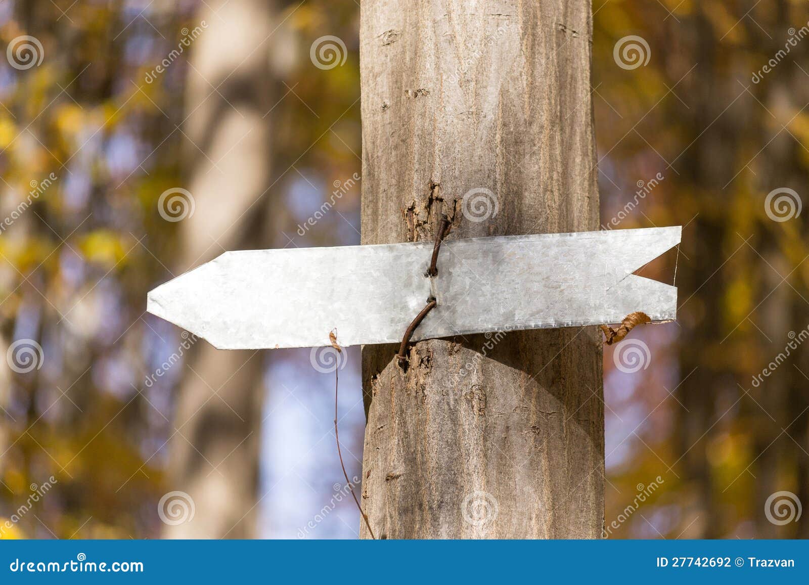 Arrow sign on a tree stock photo. Image of tree, information - 27742692
