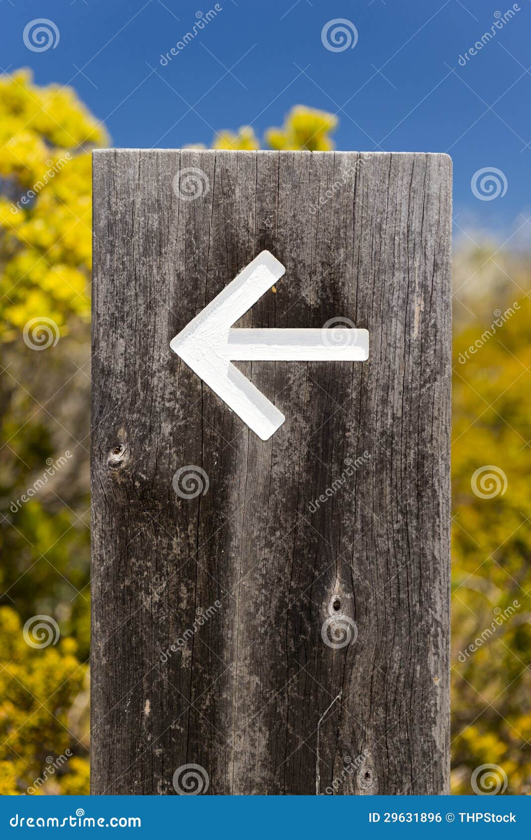 Arrow Signs stock photo. Image of plank, destination - 29631896