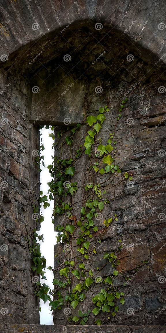 Arrow Slit in Castle Wall stock photo. Image of arrow - 18615206