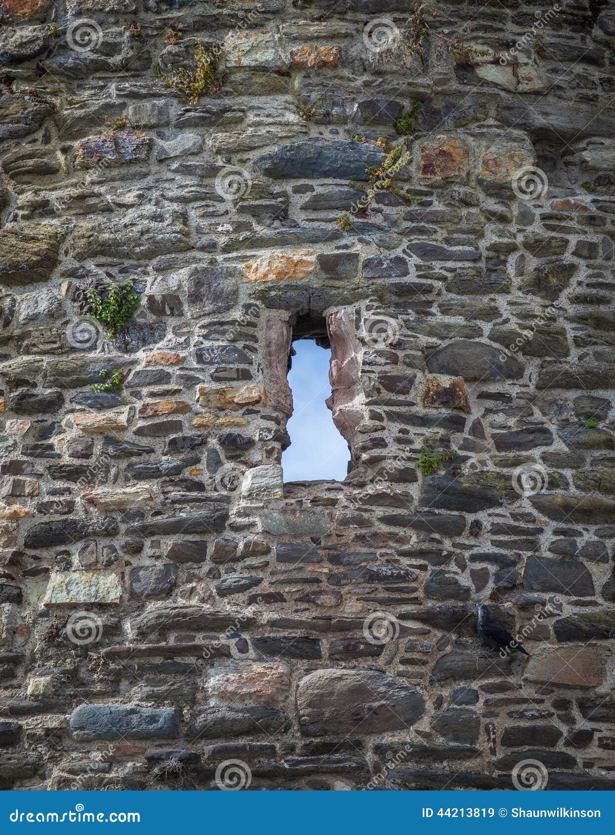 Arrow slit stock image. Image of castle, wall, protection - 44213819