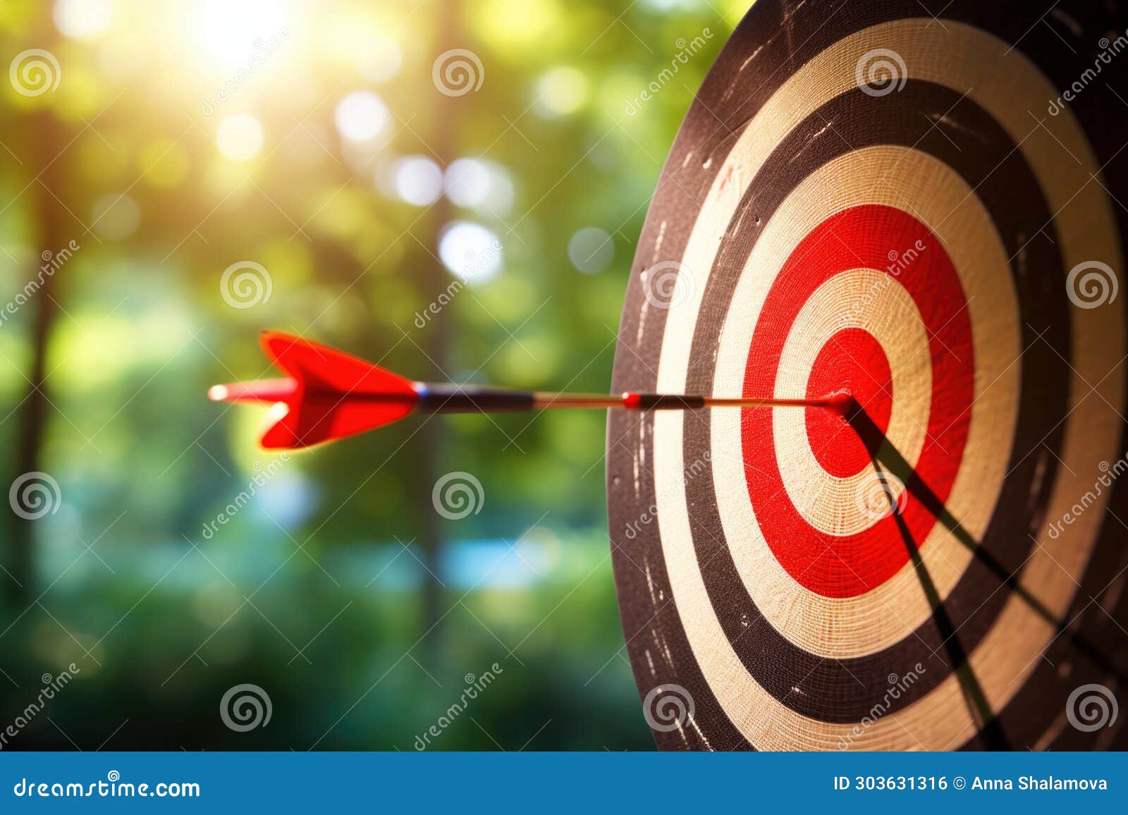 Arrow Striking the Bullseye on an Archery Target, Backlit by Sunlight ...