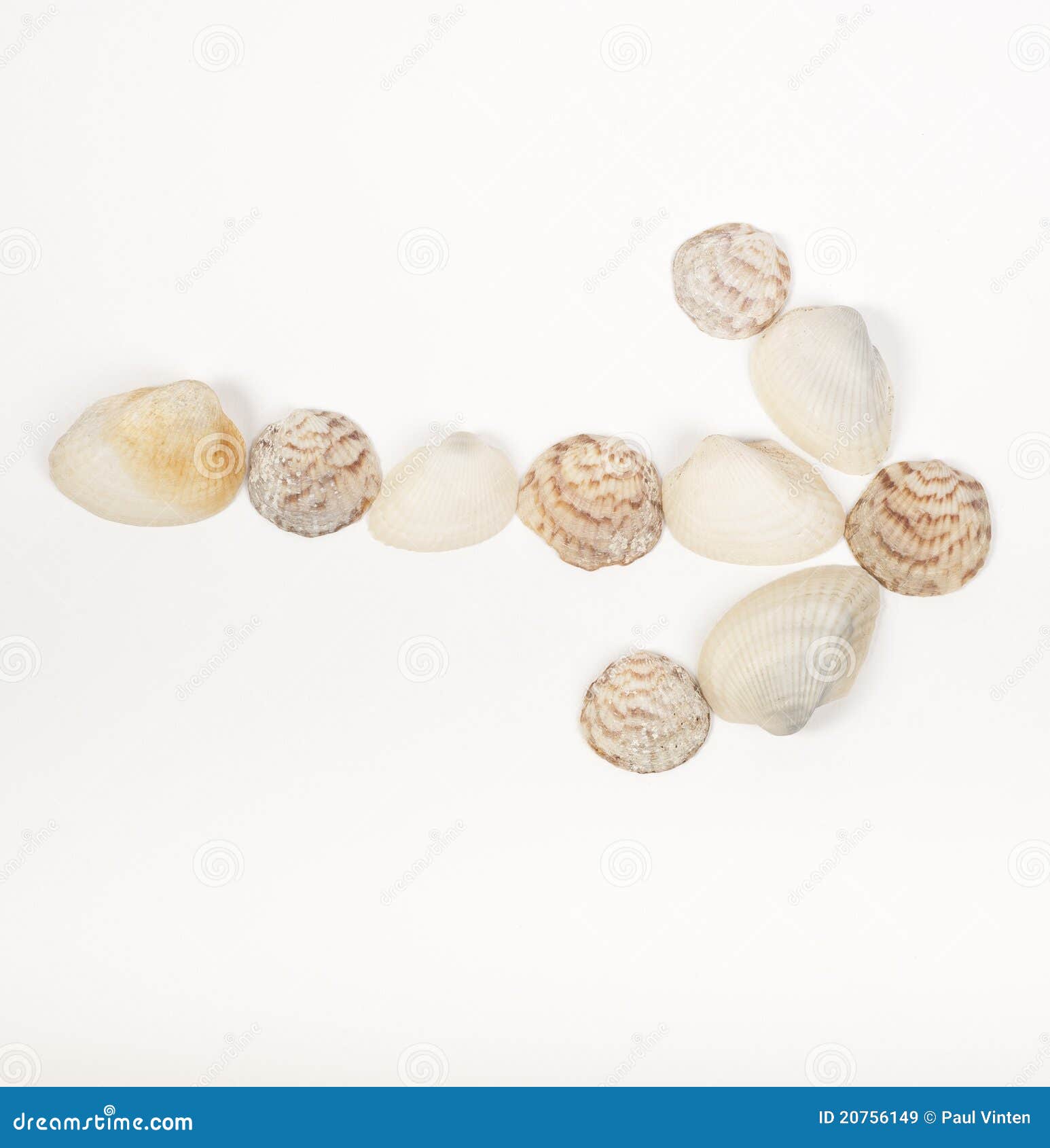 Arrow Symbol Made from Sea Shells Stock Image - Image of direction ...