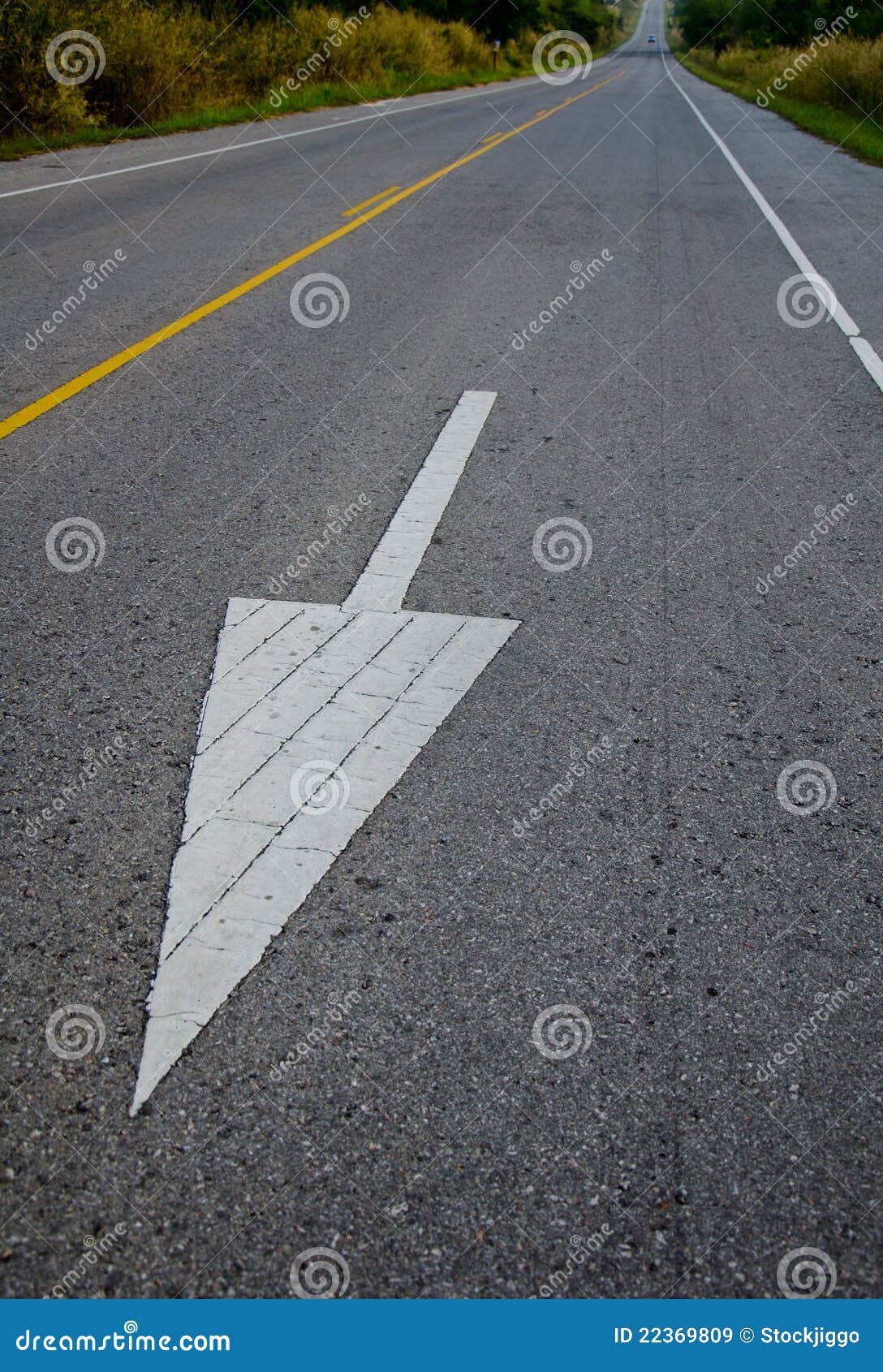 Arrow Symbol Traffic on the Road Stock Image - Image of flora, green ...