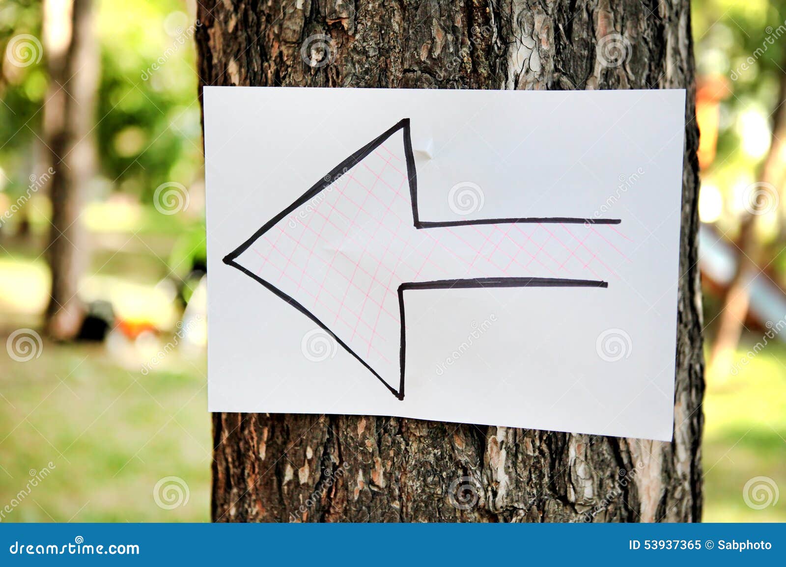 Arrow on the Tree stock image. Image of cursor, indicator - 53937365