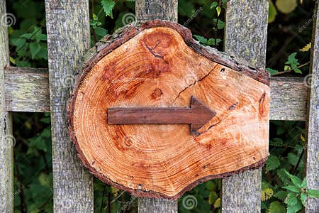Arrow on tree trunk stock image. Image of pointing, bark - 34192817