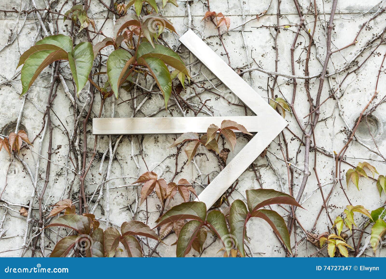 Arrow on the wall stock image. Image of wall, natural - 74727347