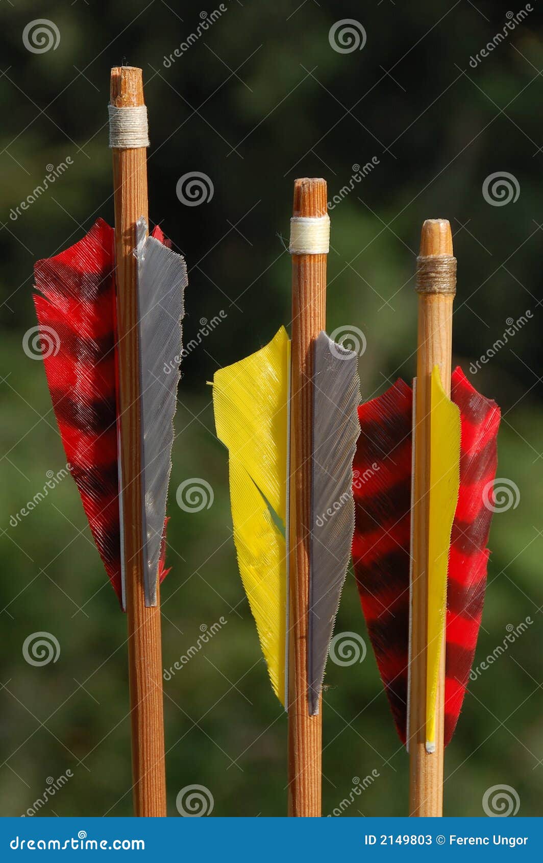 Arrows stock image. Image of shaft, fletching, archer - 2149803
