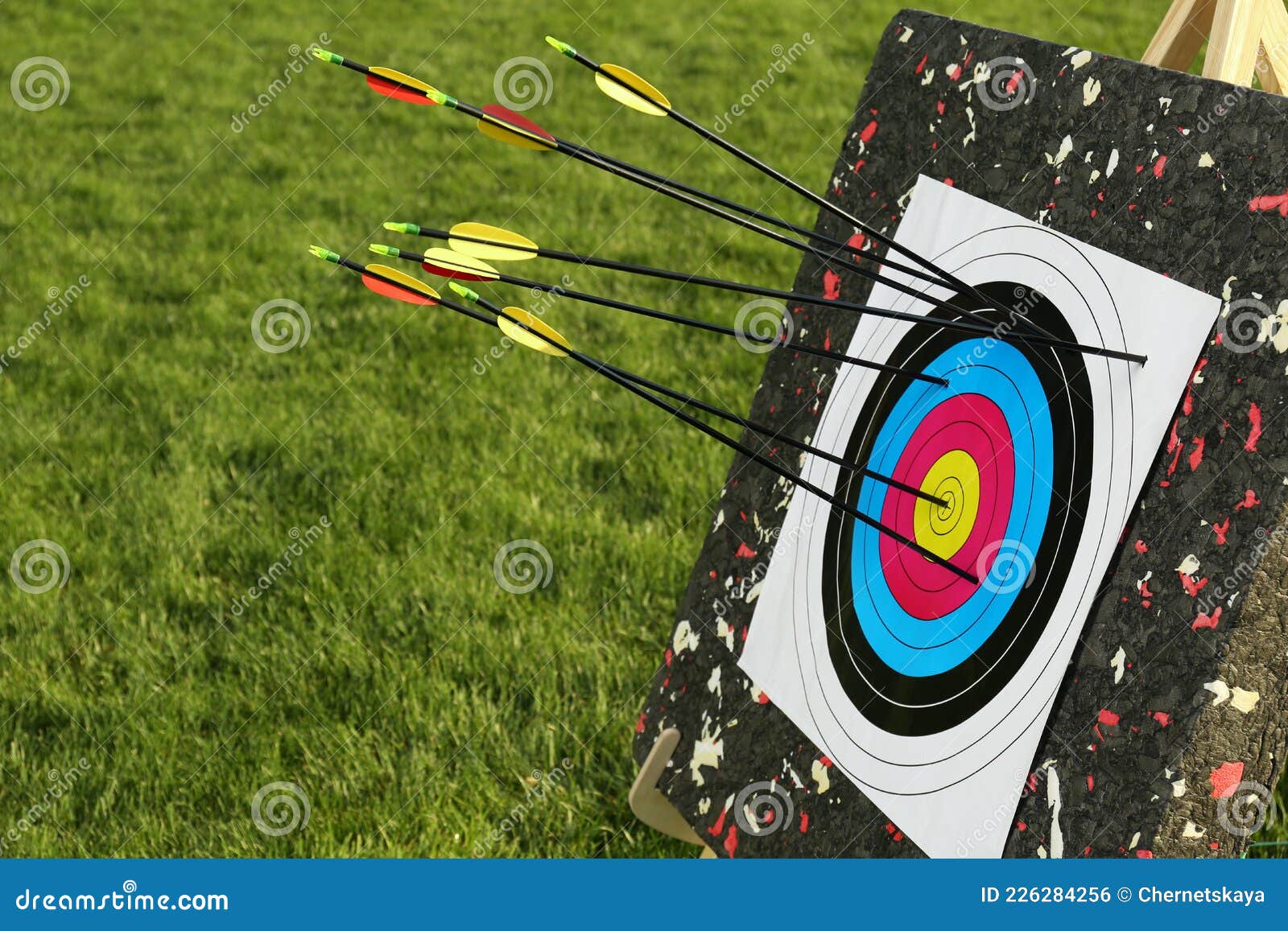 Arrows in Archery Target on Green Grass Stock Photo - Image of green ...